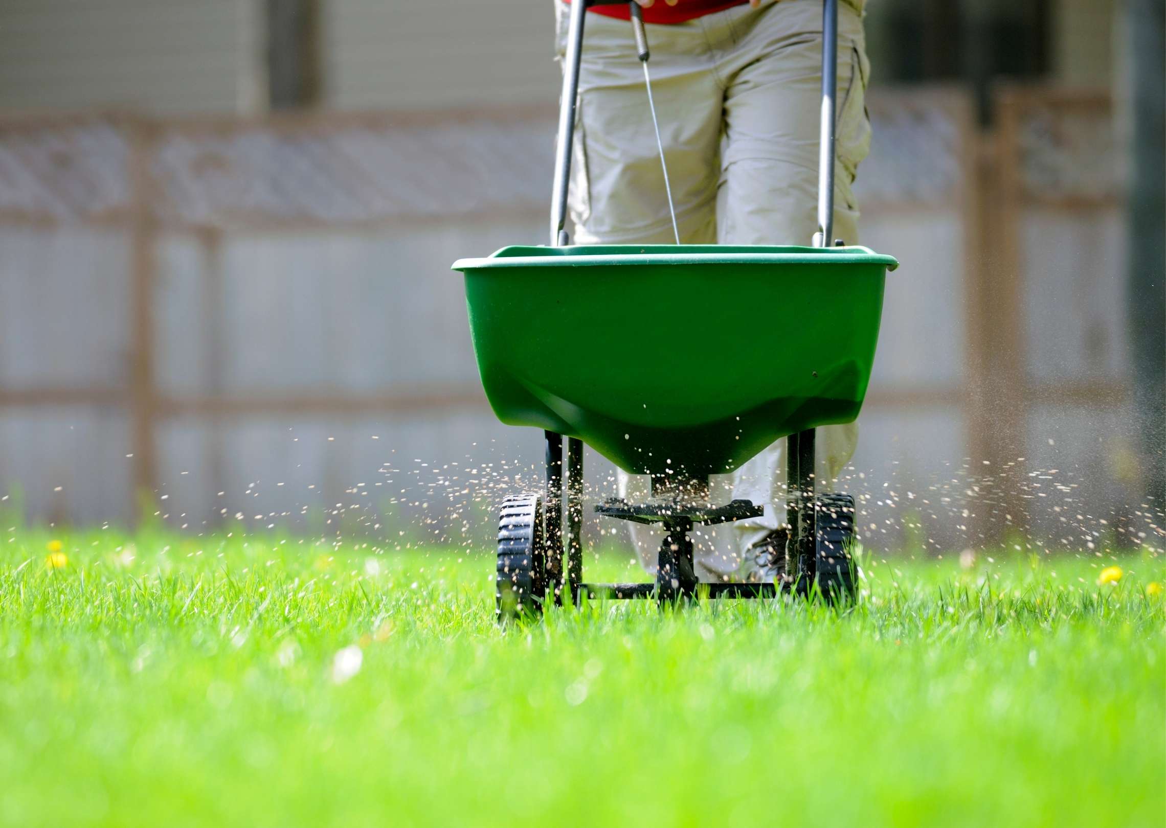 Liquid Lawn Food Fertilizer and Conditioners 100 Organic Liquid Lawn Fertilizers Covington Naturals