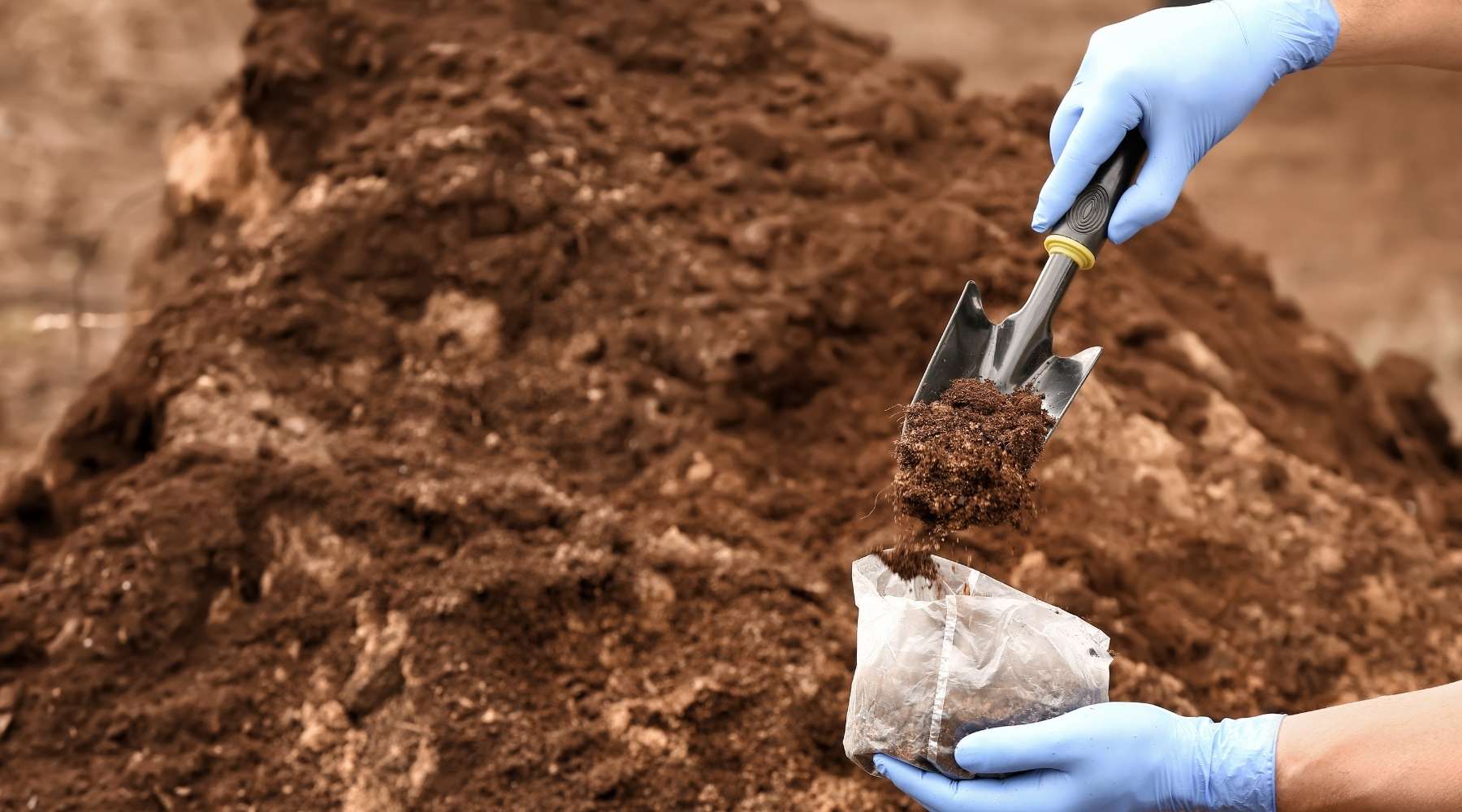 What is the Process of Soil Testing? – Covington Naturals