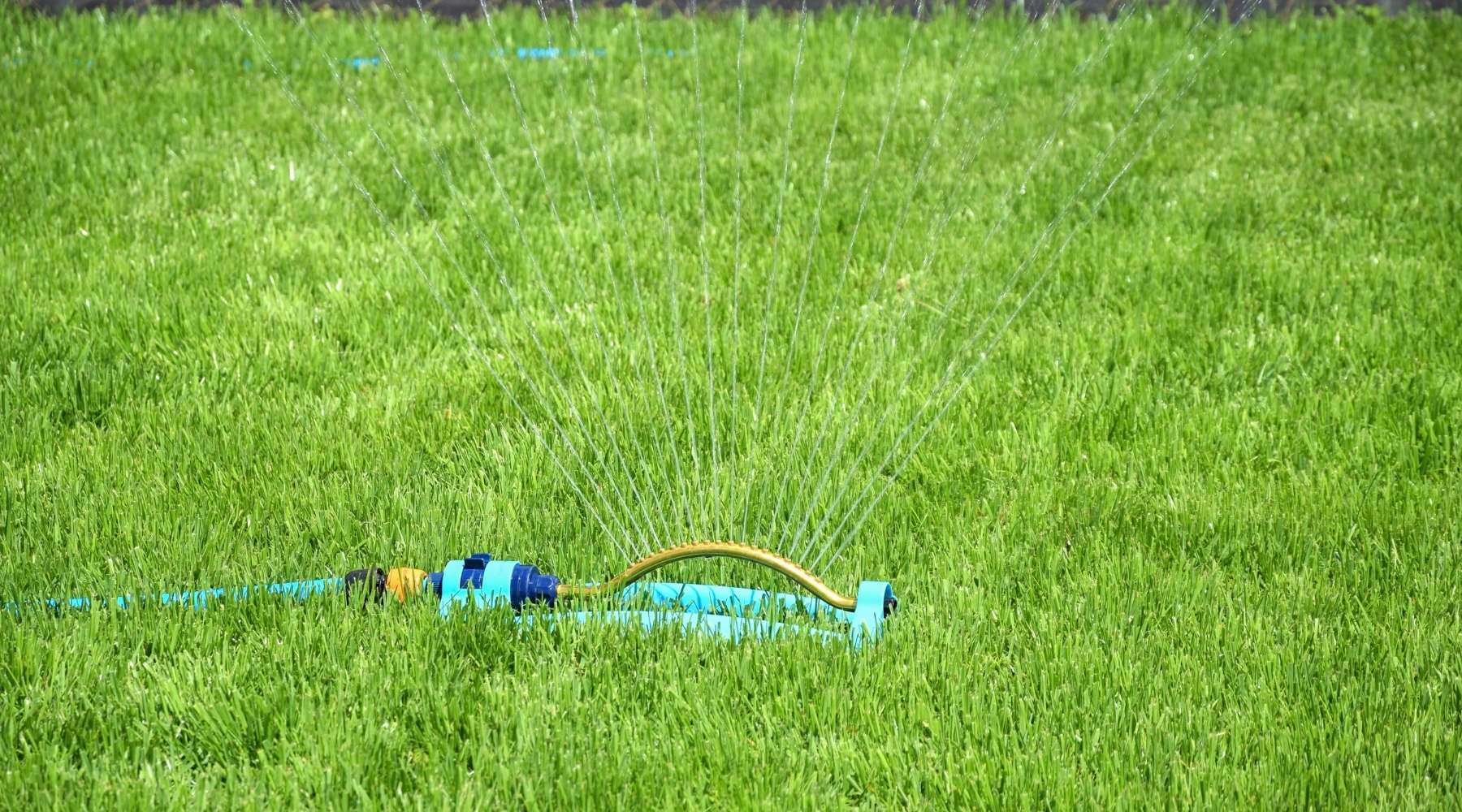 Best Watering Practices for a Beautiful Lawn – Covington Naturals